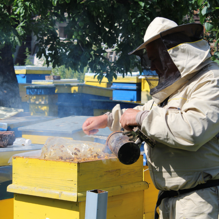 Support a hive - subscription for honey