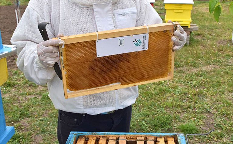 Better Beekeeping with Smart Hives | Pollenity