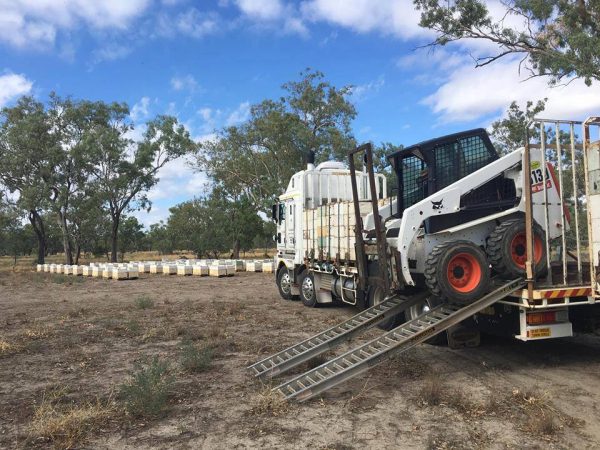Commercial Beekeeping: First Steps | Pollenity