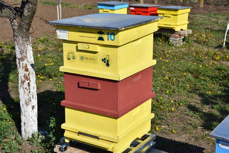 Better Beekeeping with Smart Hives | Pollenity